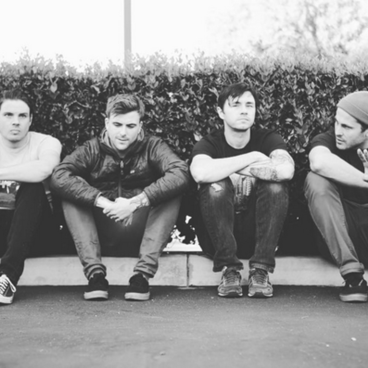 Saosin - Concert Reviews | LiveRate