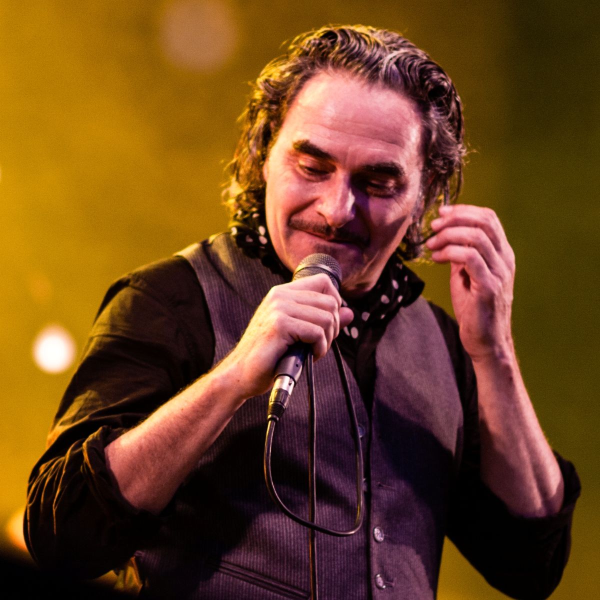 Stephan Eicher - Concert Reviews | LiveRate