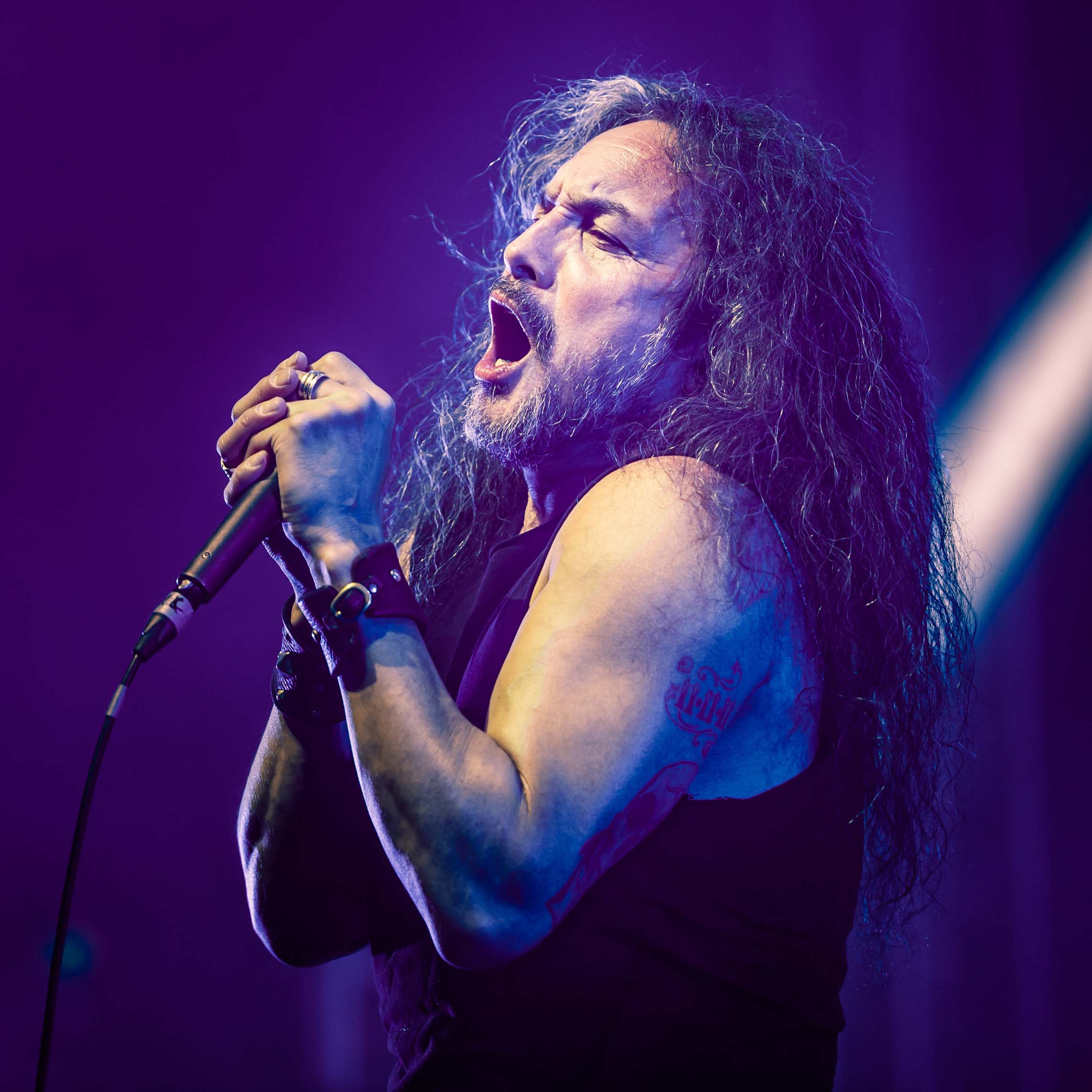 The Amazons - Concert Reviews | LiveRate