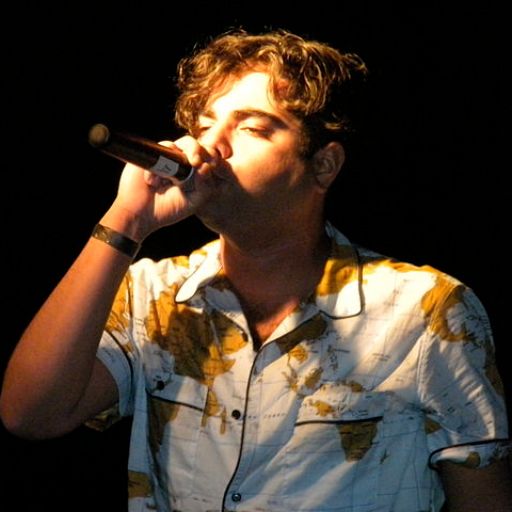 Heems - Concert Reviews | LiveRate