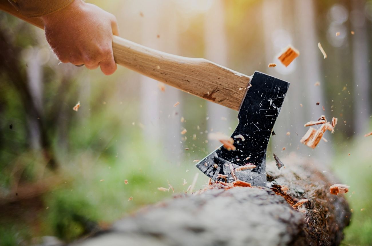 Wood Chop Exercise: How to Do, Benefits, Variations & More | cult.fit