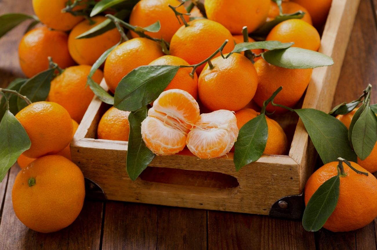 Tangerine Health Benefits and Their Best Recipes | cult.fit