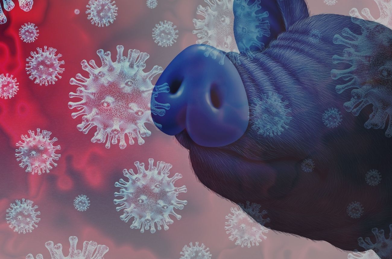 H1N1 Influenza (Swine Flu): Symptoms, Causes & Treatment | cult.fit