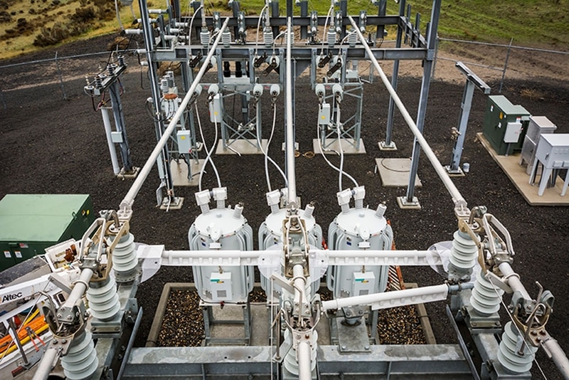 Kaddas Enterprises BirdguarD™ Products