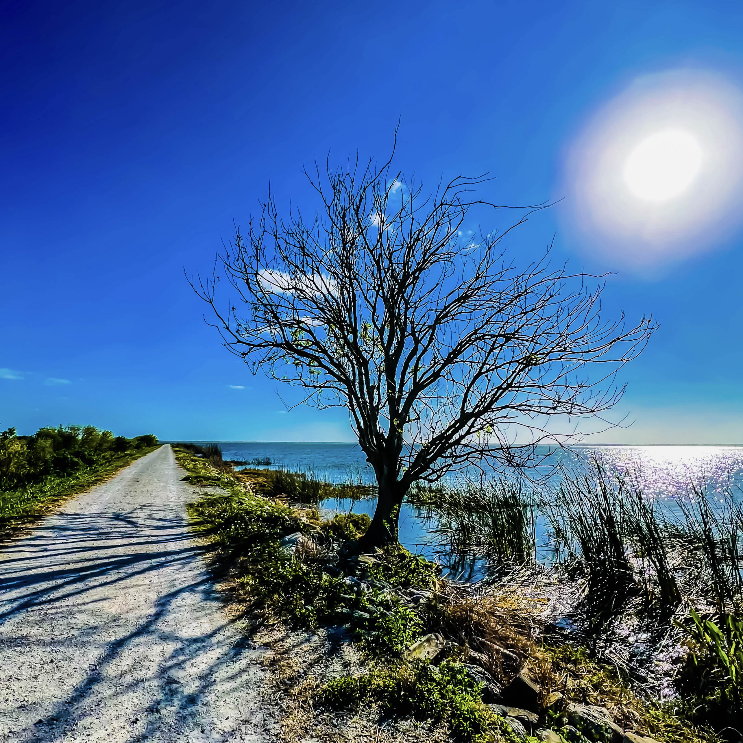 Gravel Bike Adventures | Lake Apopka: Magnolia Park to Green Mountain ...