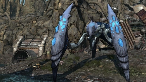 Rakk Hive • BL1 – Boss | Lootlemon