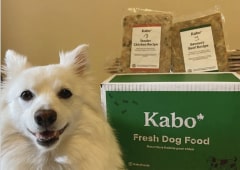 Kabo Fresh Dog Food Decreases Delivery Errors with a Last-mile Solution ...