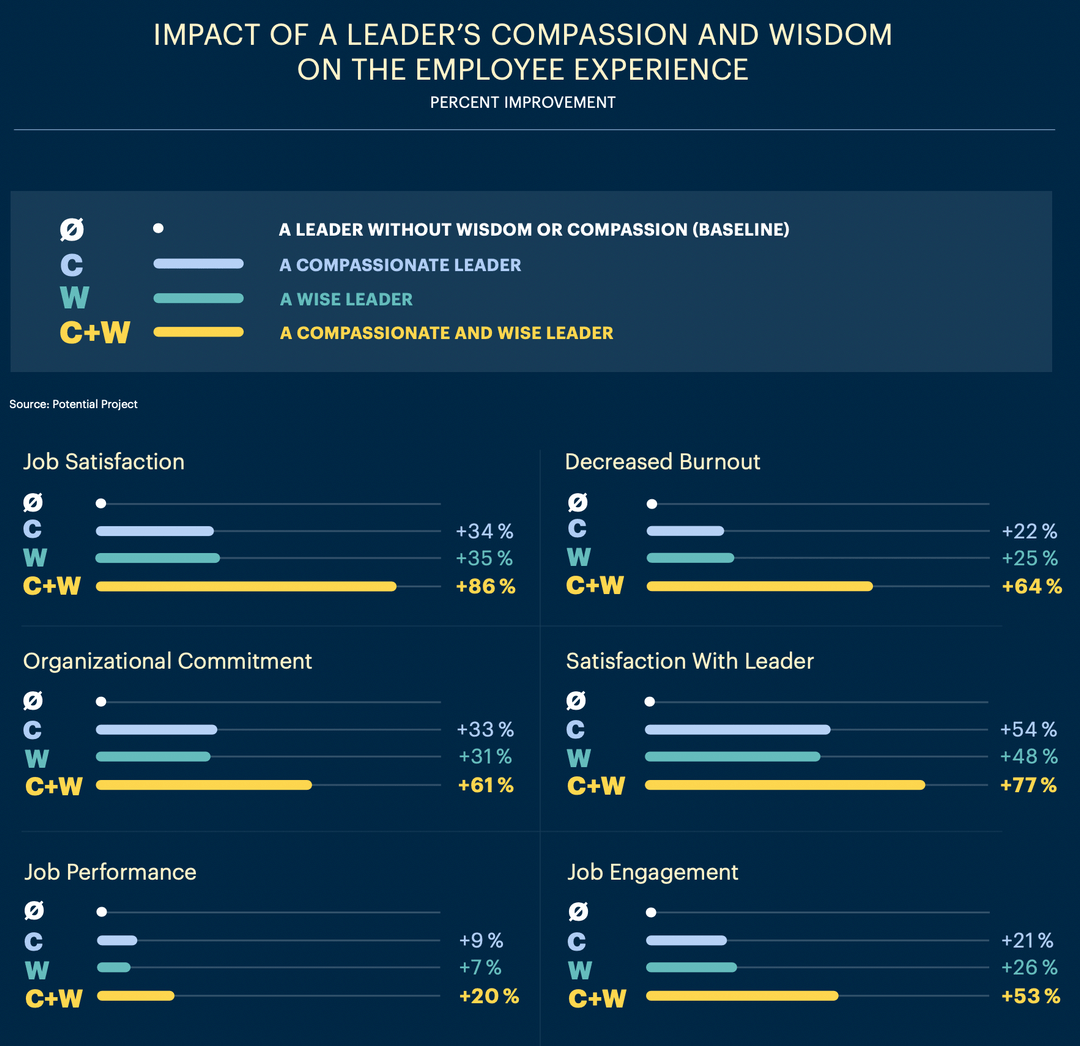 Wise Compassionate Leadership