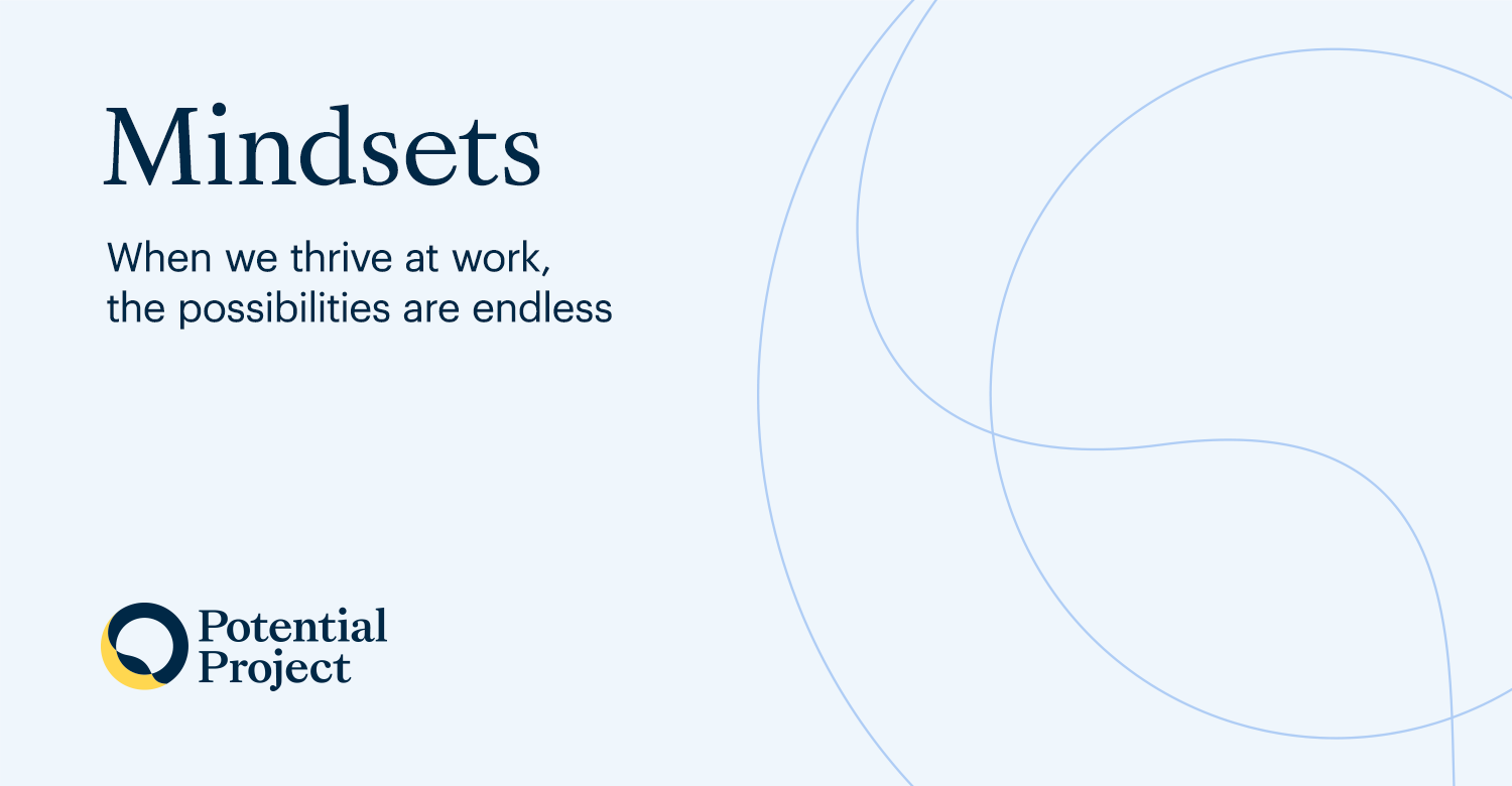 Potential Project – Mindset Solutions for Organizations