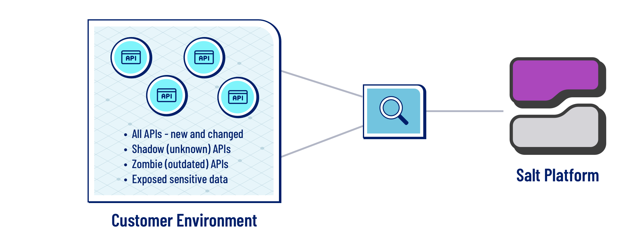 The Salt Security Api Protection Platform
