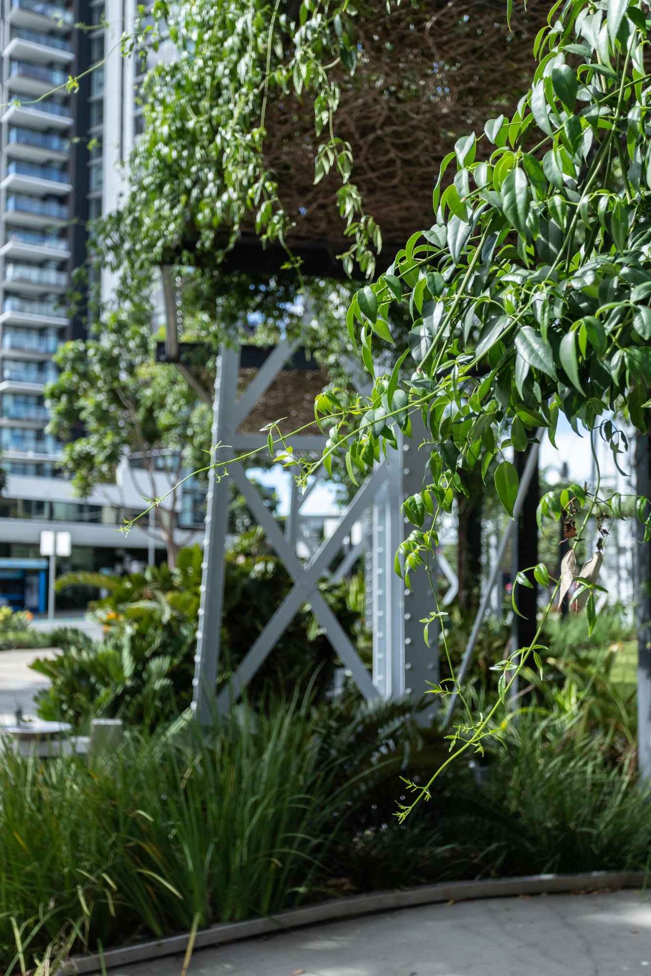 See Our Projects. Gasworks Plaza | Instant Green Nursery | Wholesale ...