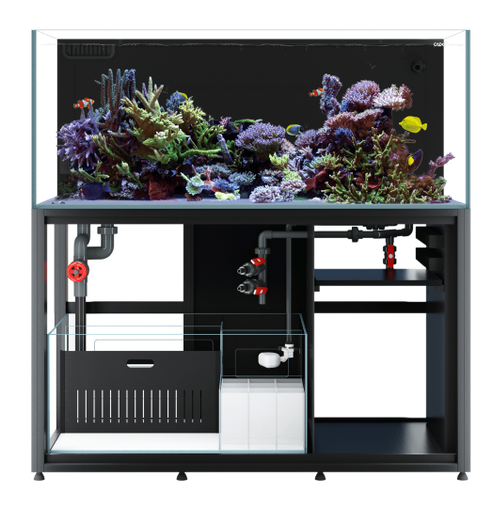 Classic Aquarium Range | Cade Aquariums