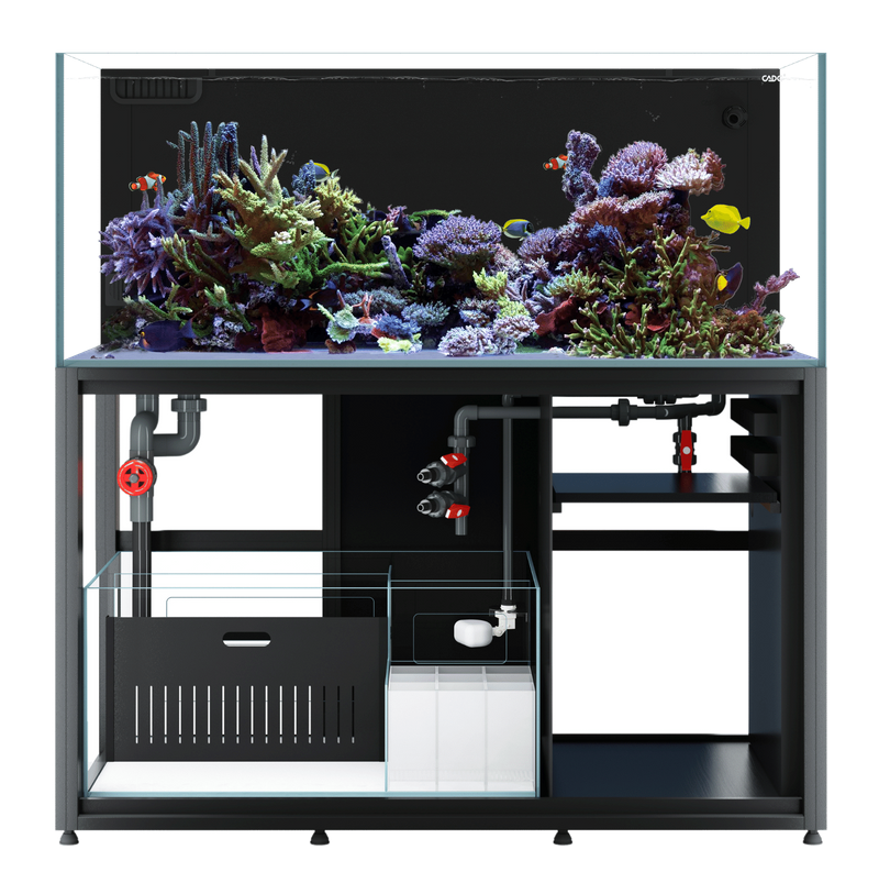 Classic Aquarium Range | Cade Aquariums
