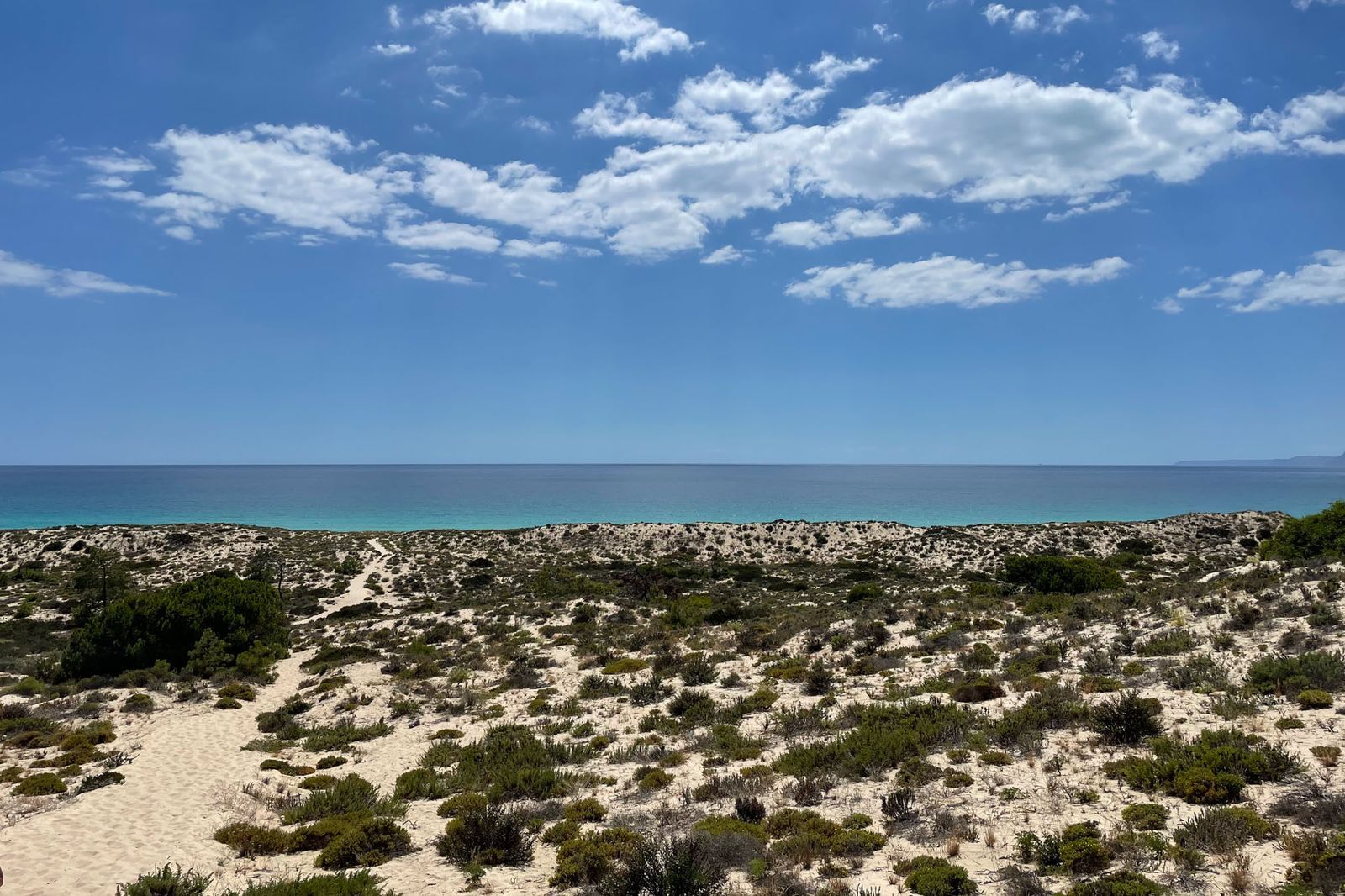The Best of Comporta in Portugal + Insider Guide by JO&SO