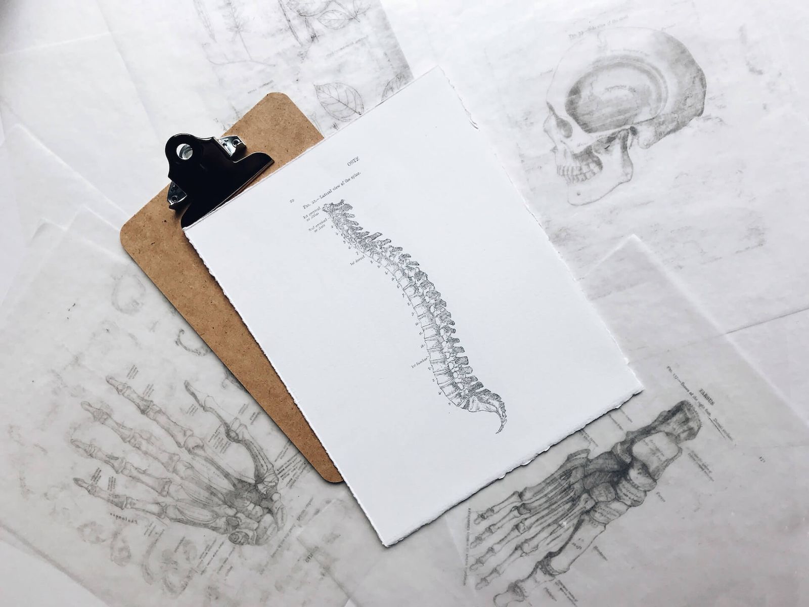 Neck Disability Index & Example | Free PDF Download