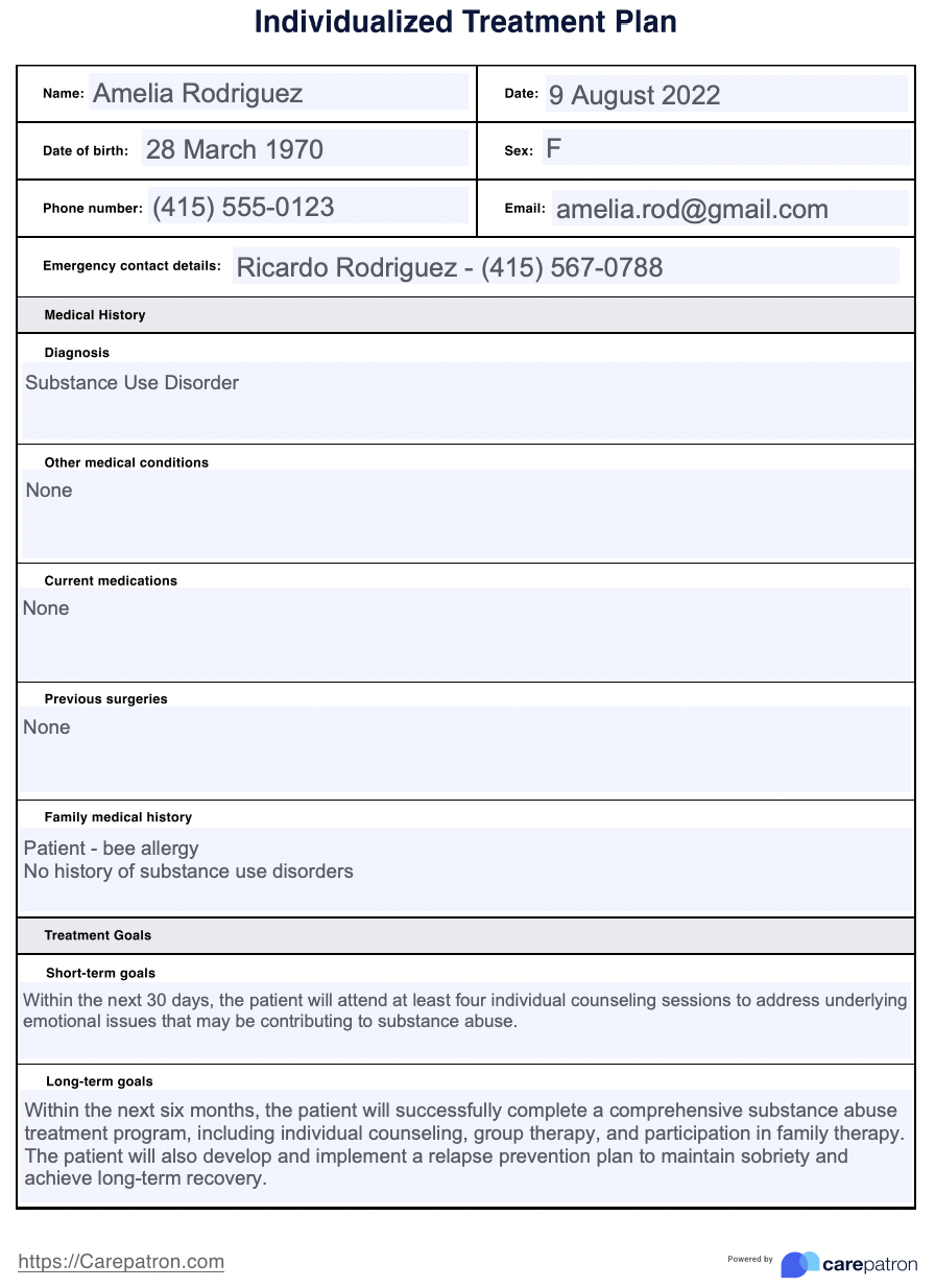 Individualized Treatment Plan & Example | Free PDF Download