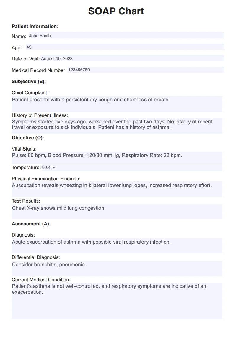 Soap Chart & Example | Free PDF Download