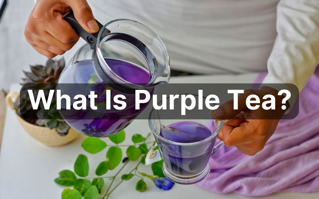 What Is Purple Tea? 4 Health Benefits & Best Purple Tea Brands