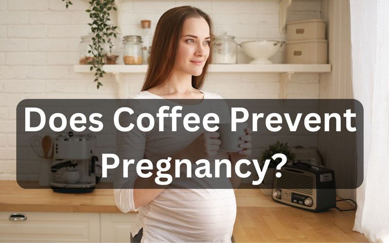 5 Best Cold Brew Decaf Coffees in 2023