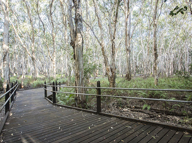 Mackay’s Best Walks - Mackay Whitsunday LIfe