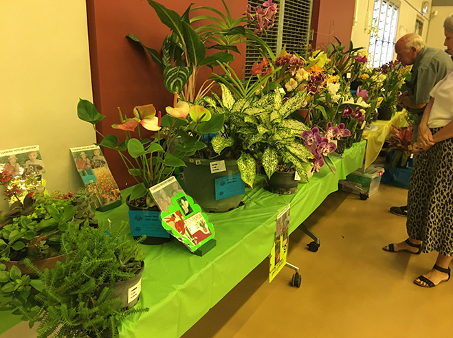 Eight Decades Of Proserpine Flower Shows - Mackay Whitsunday LIfe