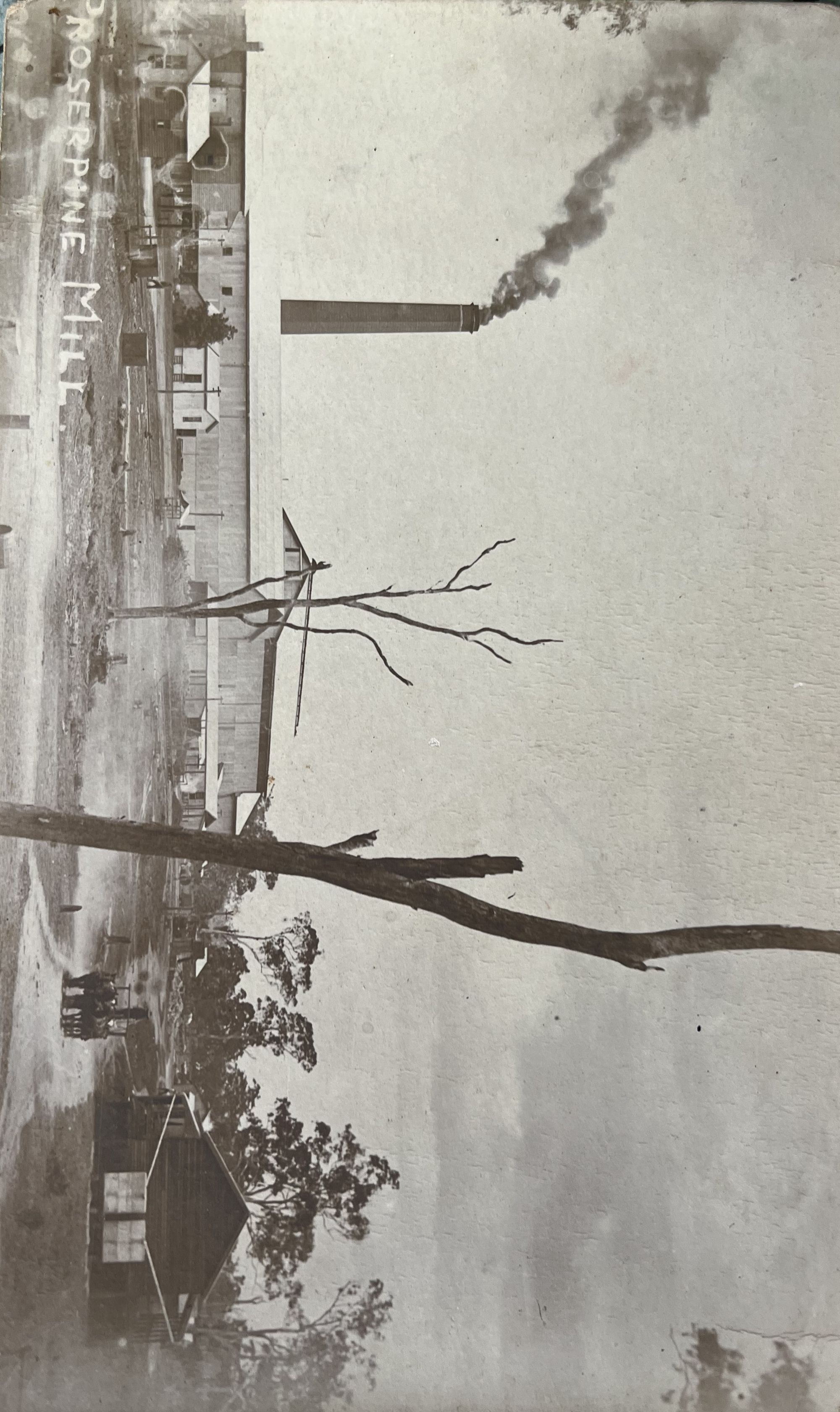 Celebrating 125 Years Of The Proserpine Sugar Mill 1897 – 2022 - Mackay ...