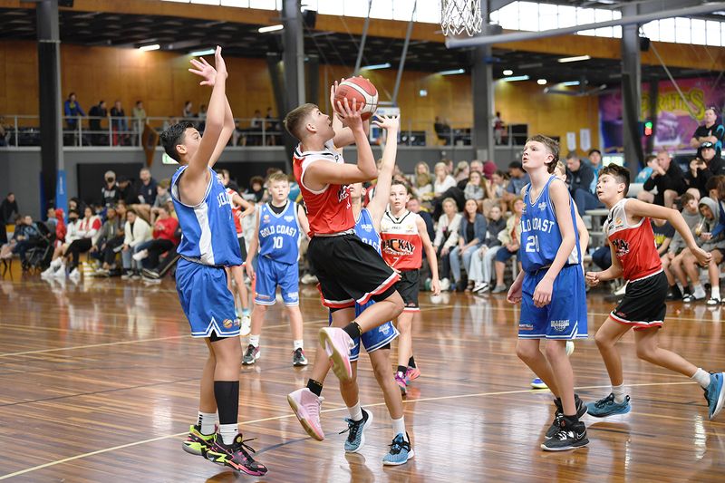 Trump card Treyce A Whiz On Basketball Court And Touch Football Arena ...