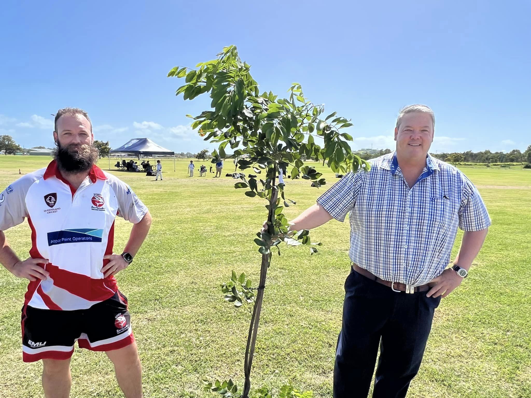 Pull Up Stumps And Plant Down Trees - Mackay Whitsunday LIfe