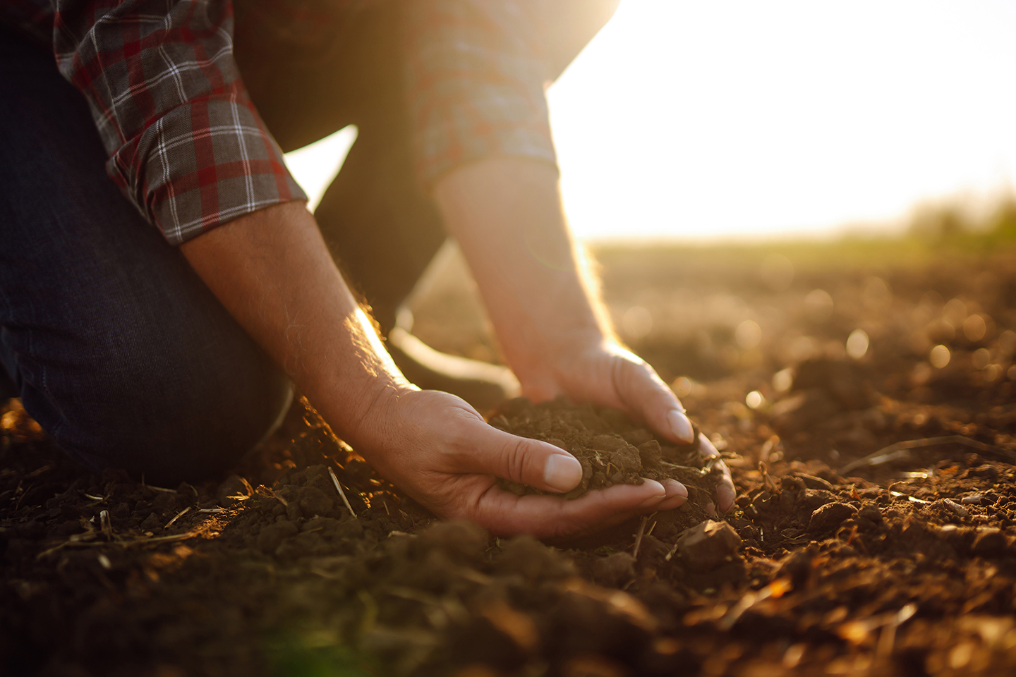 A National Soil Data Solution - Mackay Whitsunday LIfe A National Soil Data Solution - Mackay Whitsunday LIfe