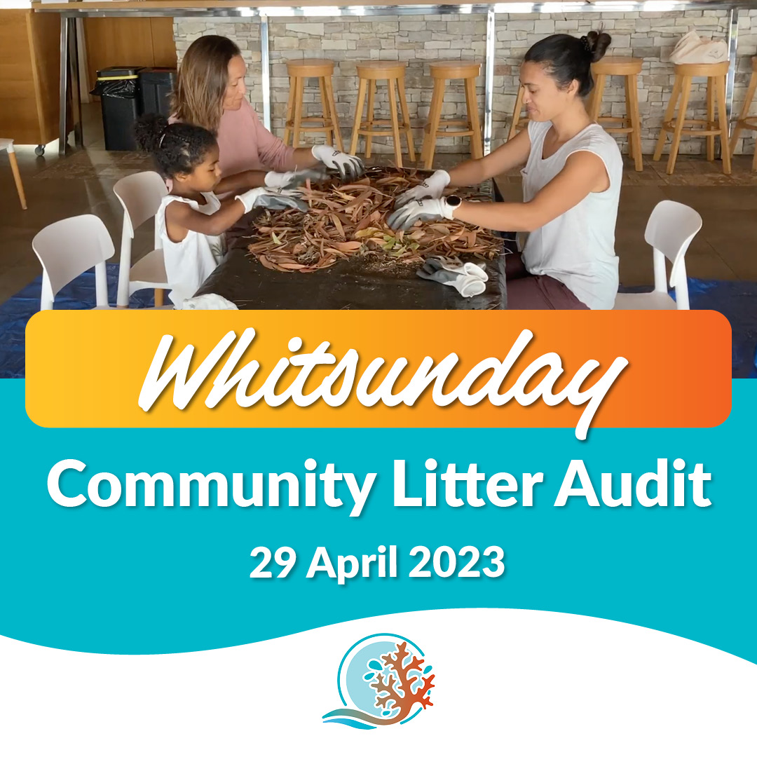 Volunteers Needed For Community Litter Audit - Mackay Whitsunday LIfe