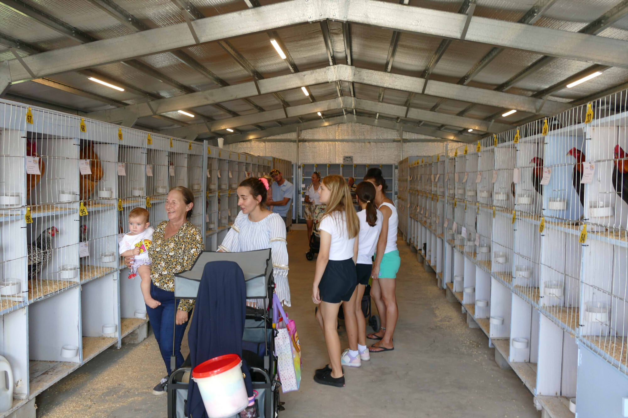 110th Show Whitsunday Marked By Opening Of New Poultry Pavilion ...