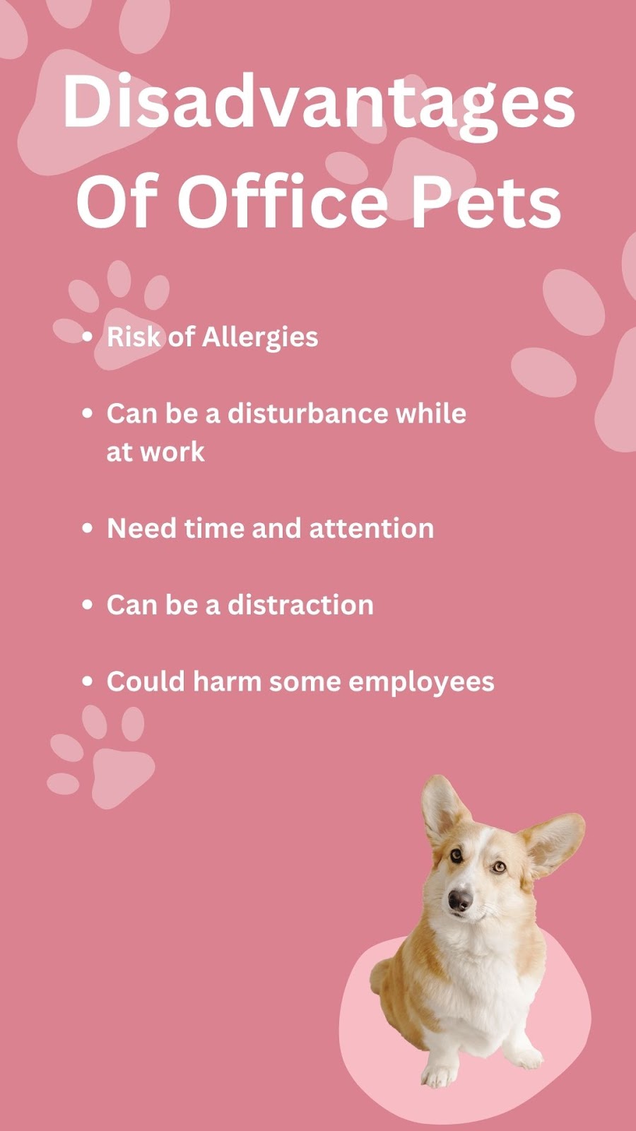 11+ Best Office Pets for a “Paw-sitive” Culture and Team Bonding!