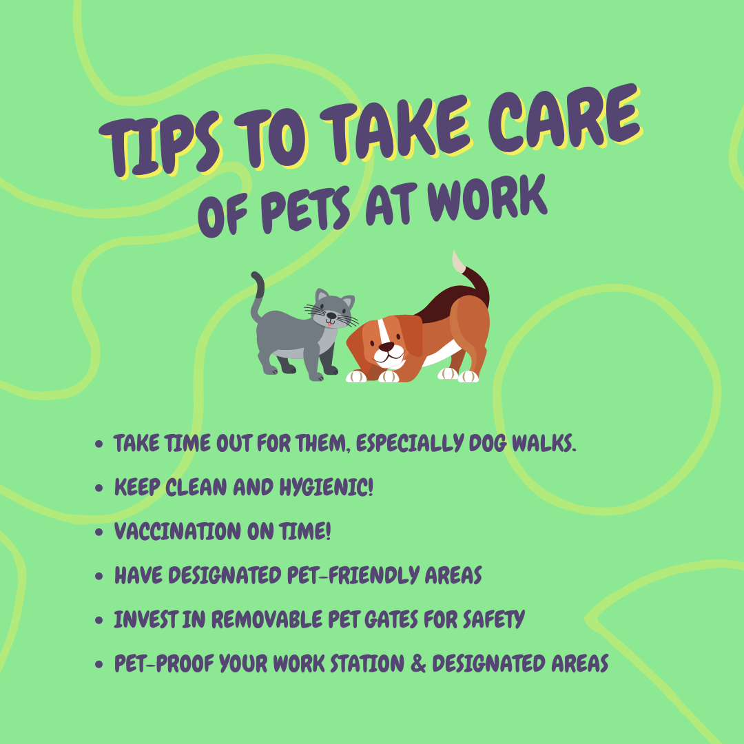 11+ Best Office Pets for a “Paw-sitive” Culture and Team Bonding!