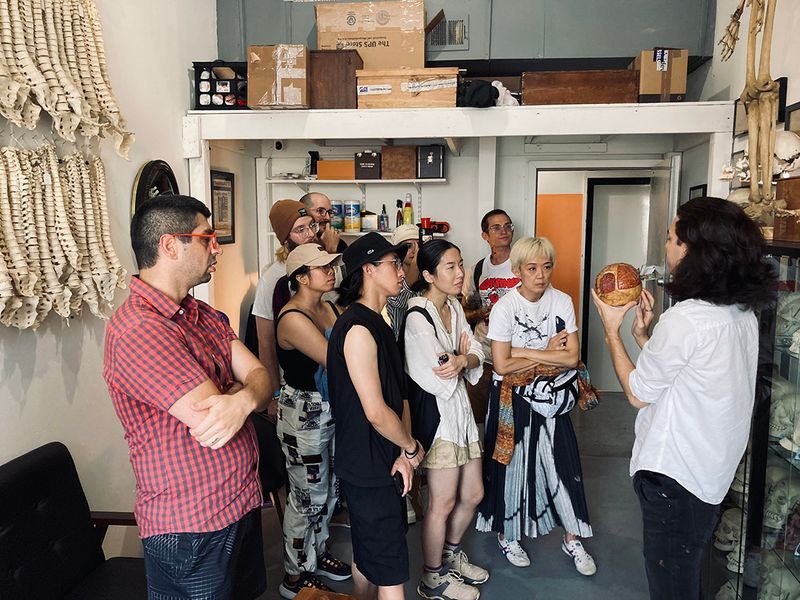 Real Human Bones for Sale | JonsBones