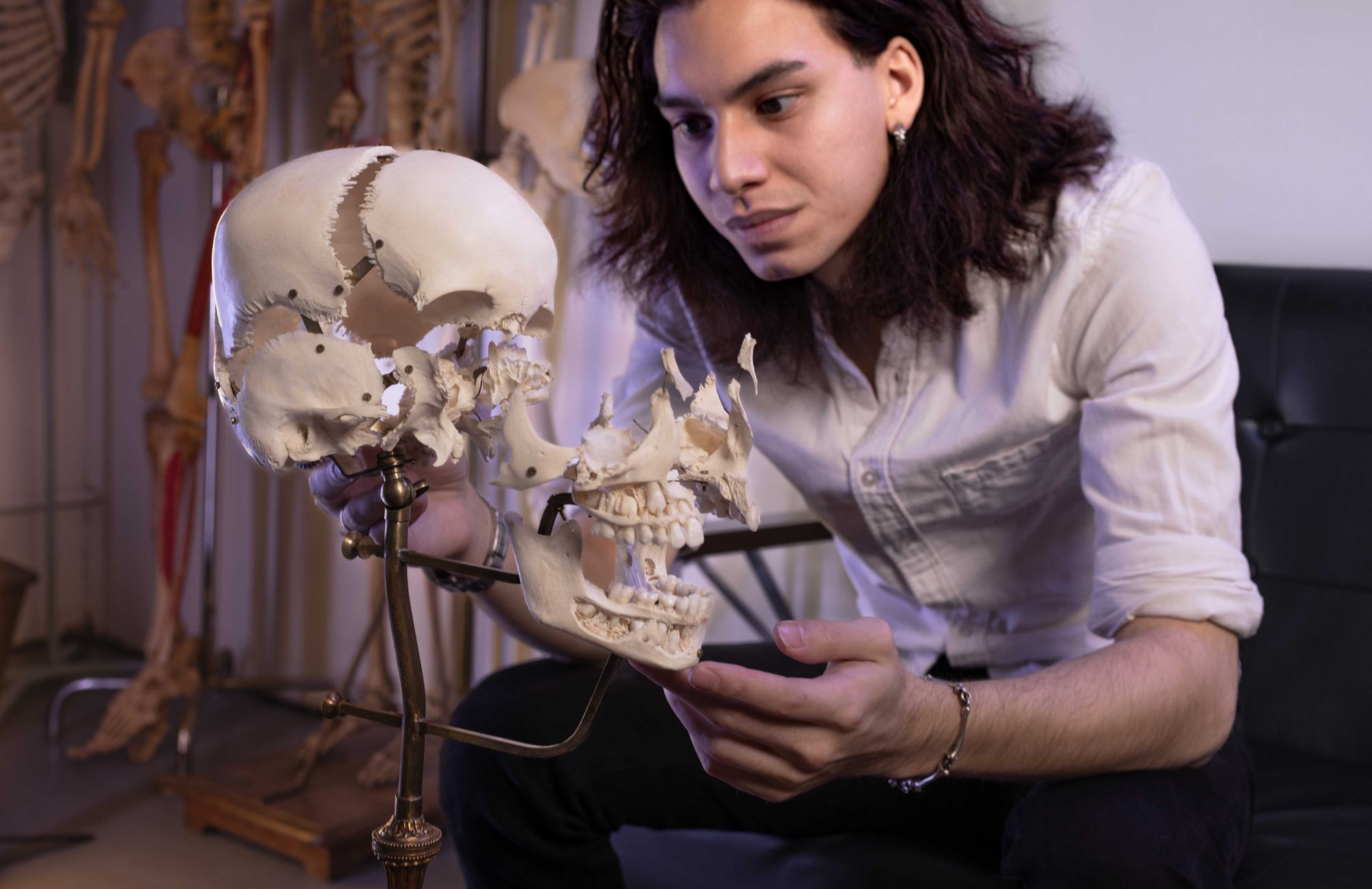 Phantom Skull (007) | JonsBones: Responsibly Sourced Human Osteology