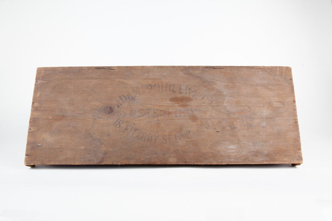 Adam, Rouilly Half-Skeleton Bone Box | JonsBones: Responsibly Sourced ...