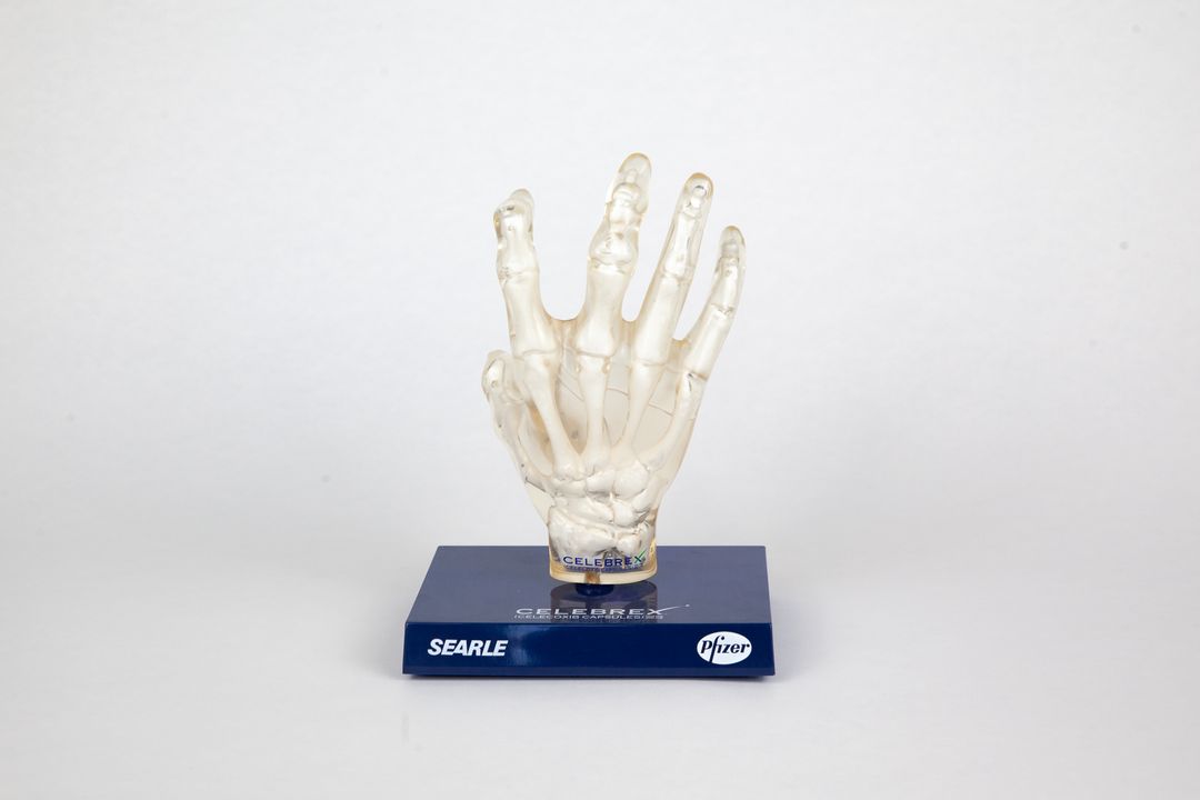 Phantom Hand Teaching Model | JonsBones: Responsibly Sourced Human ...