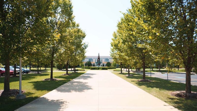 Local Community Colleges: 10 Benefits that Boost Your Advantage - Unmudl