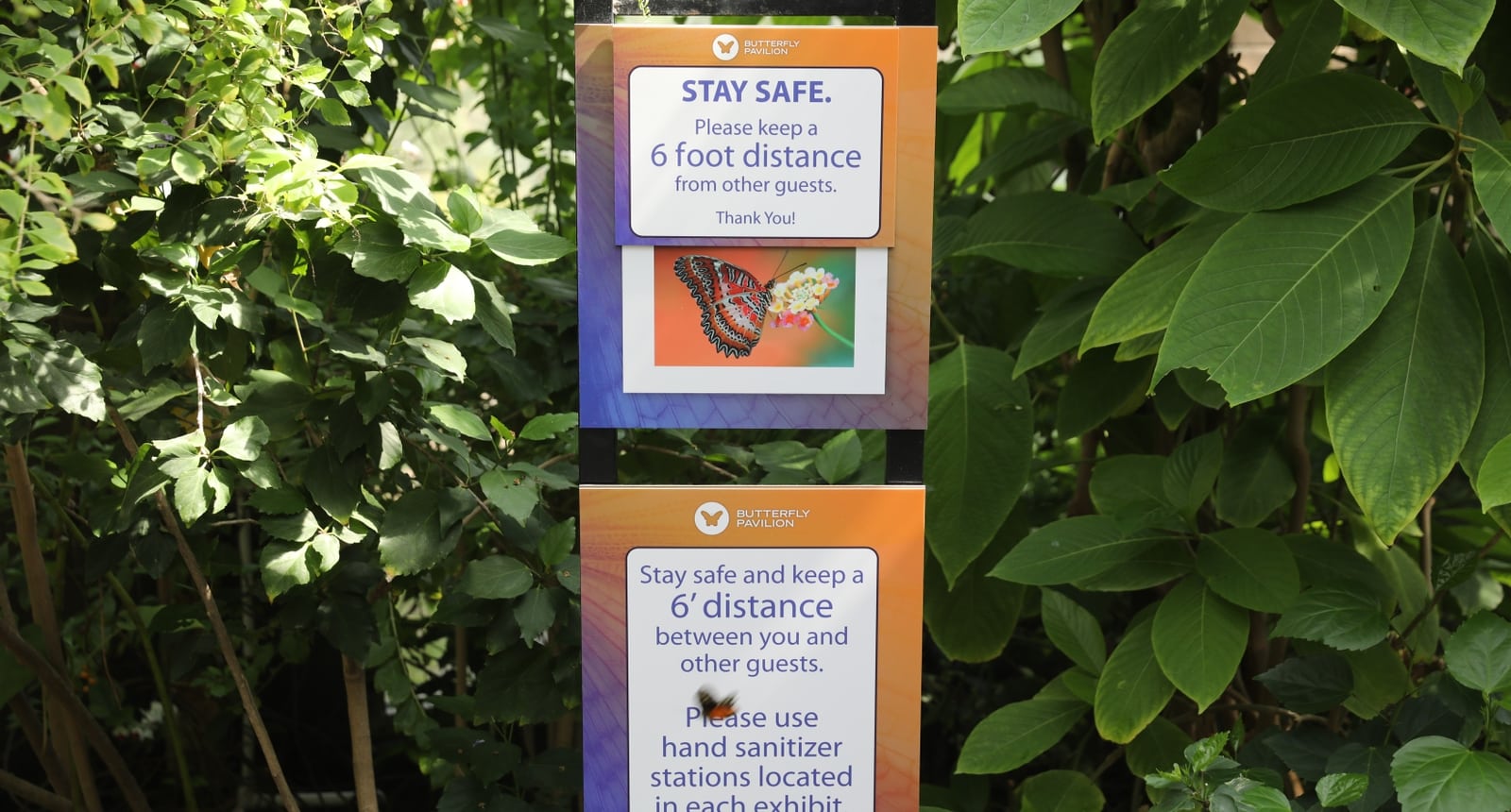 Portfolio | Large Format Billboard & Banners | Digital Frontier