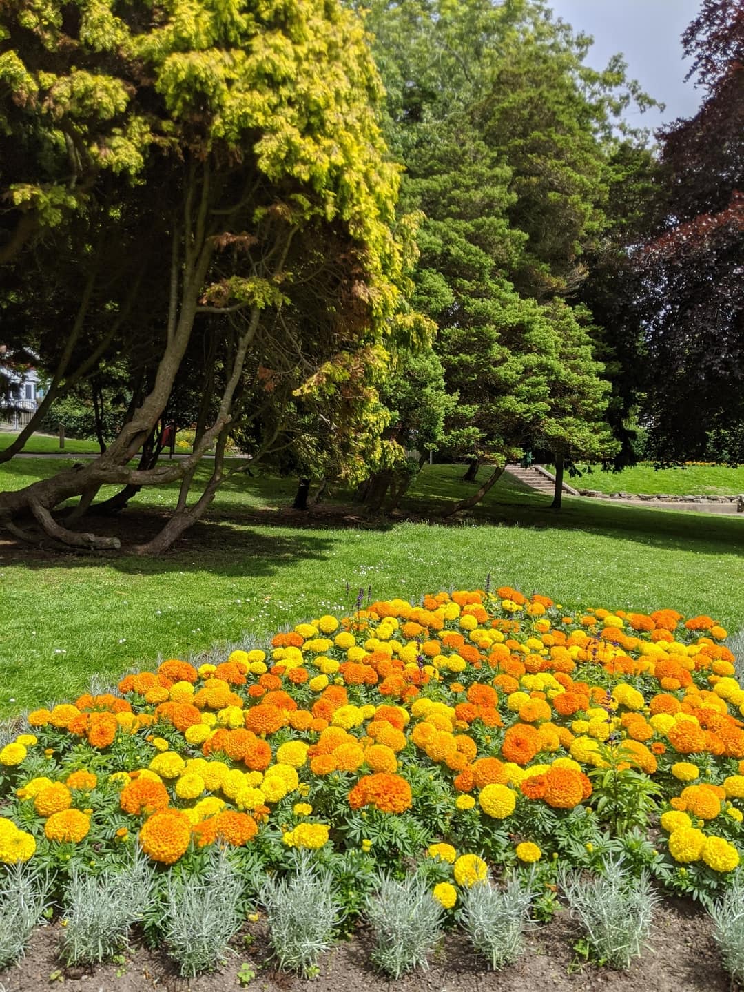 Romilly Park | Visit The Vale