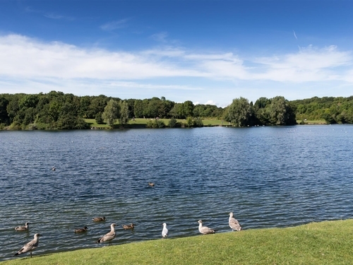 Cosmeston Lakes Country Park | Visit The Vale