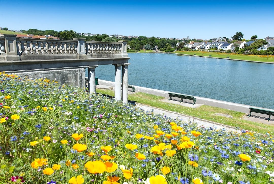 The Knap Lake and Gardens, Barry | Visit The Vale