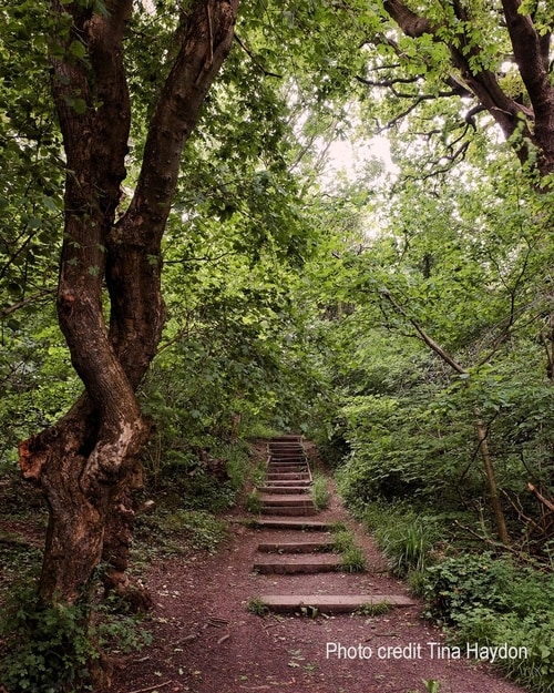 Porthkerry Country Park, Barry | Visit The Vale