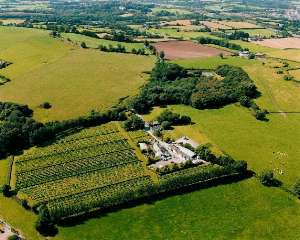 Llanerch Vineyard | Visit The Vale