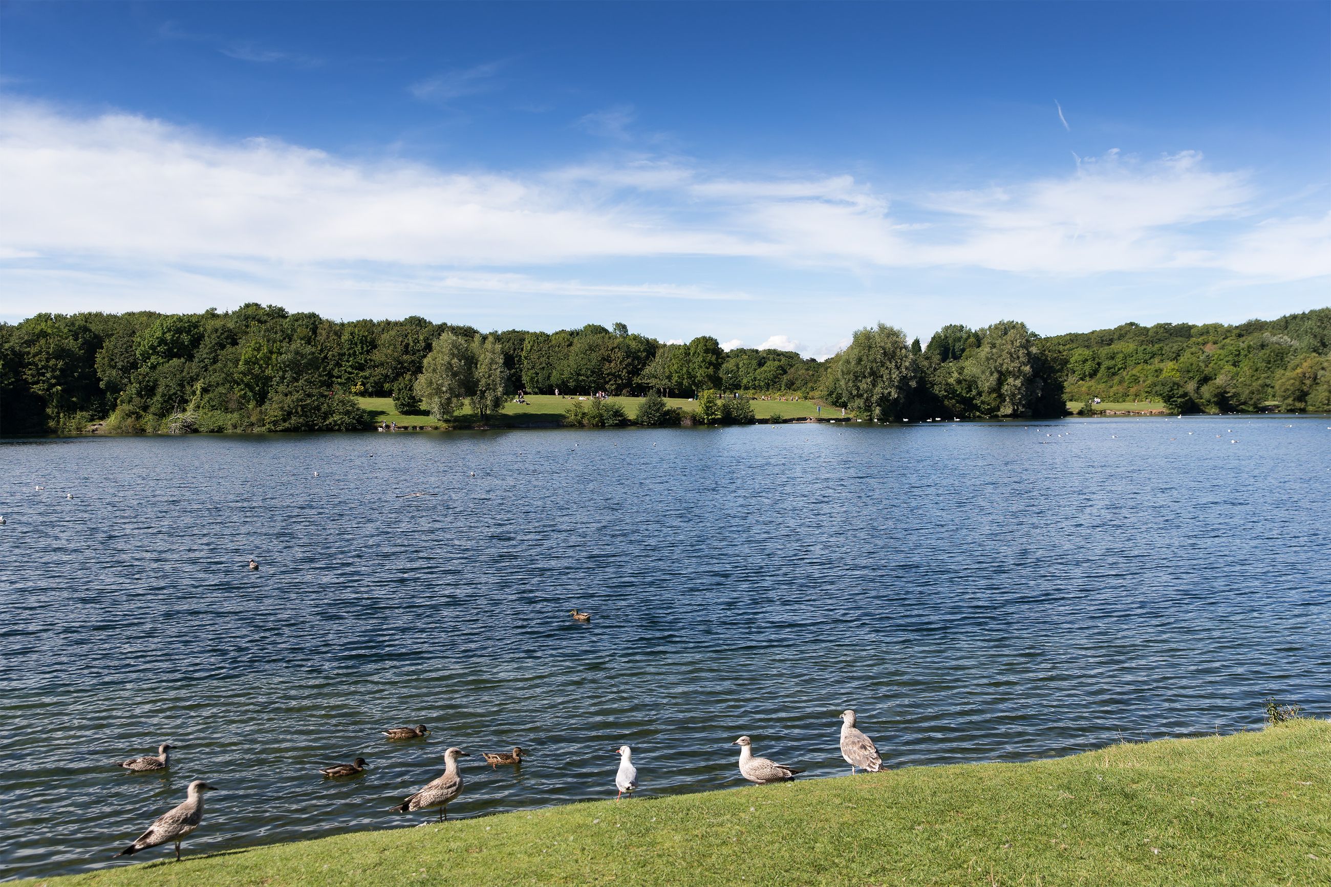 See what's on in The Vale of Glamorgan | Visit The Vale