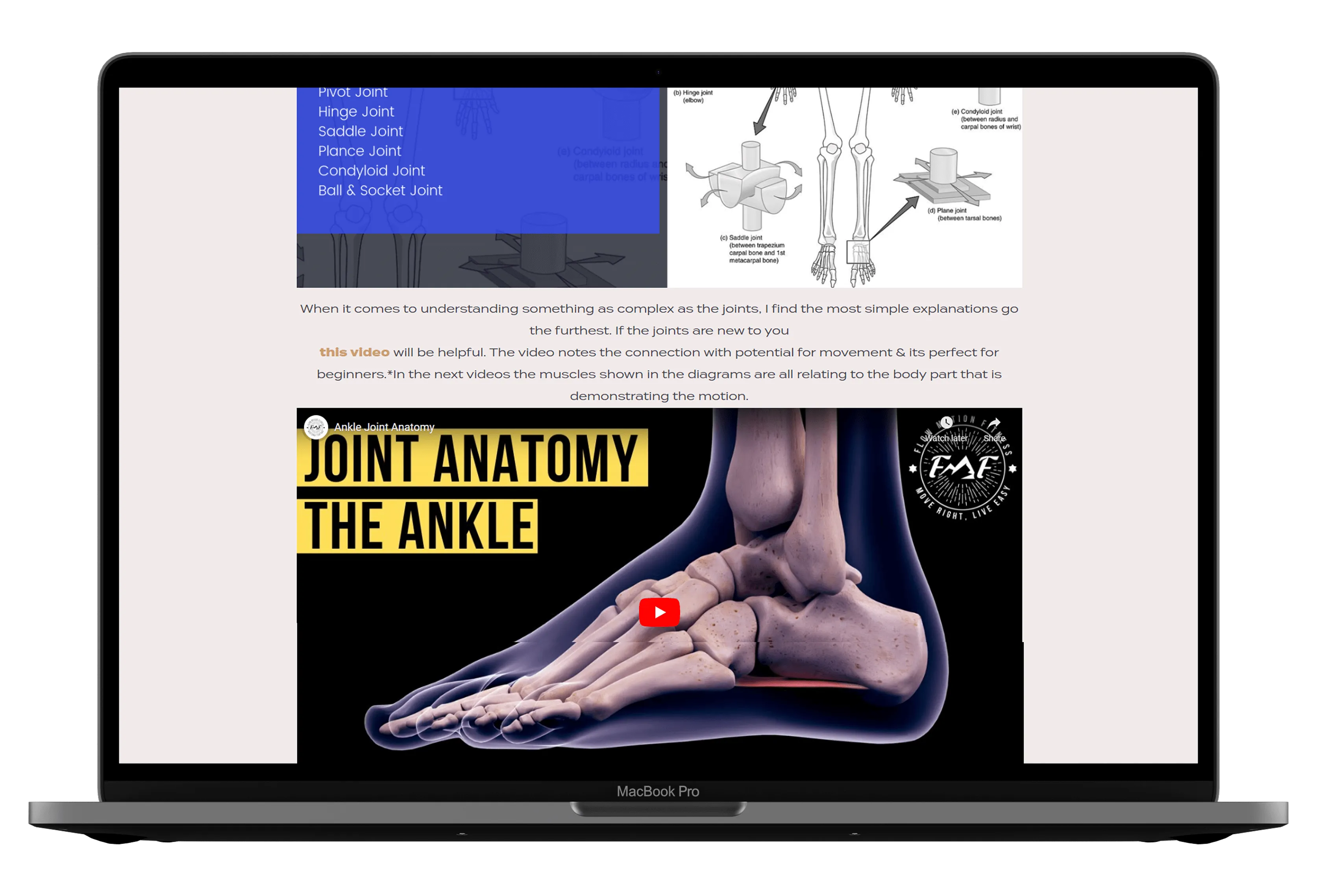 Mobility Certification | Flow Motion Fitness