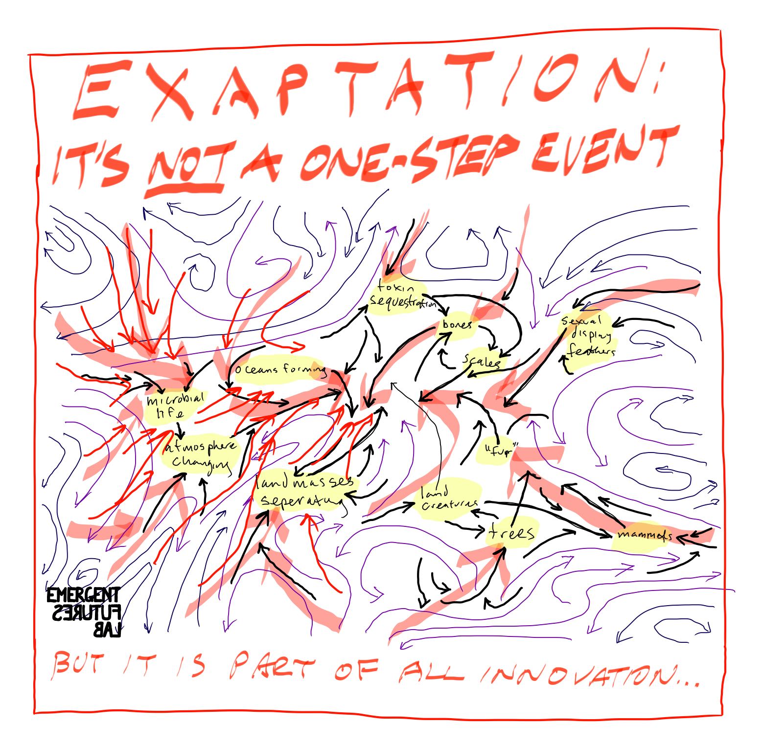 Exaptation is Not a One Step Process for Innovation | Emergent Futures Lab