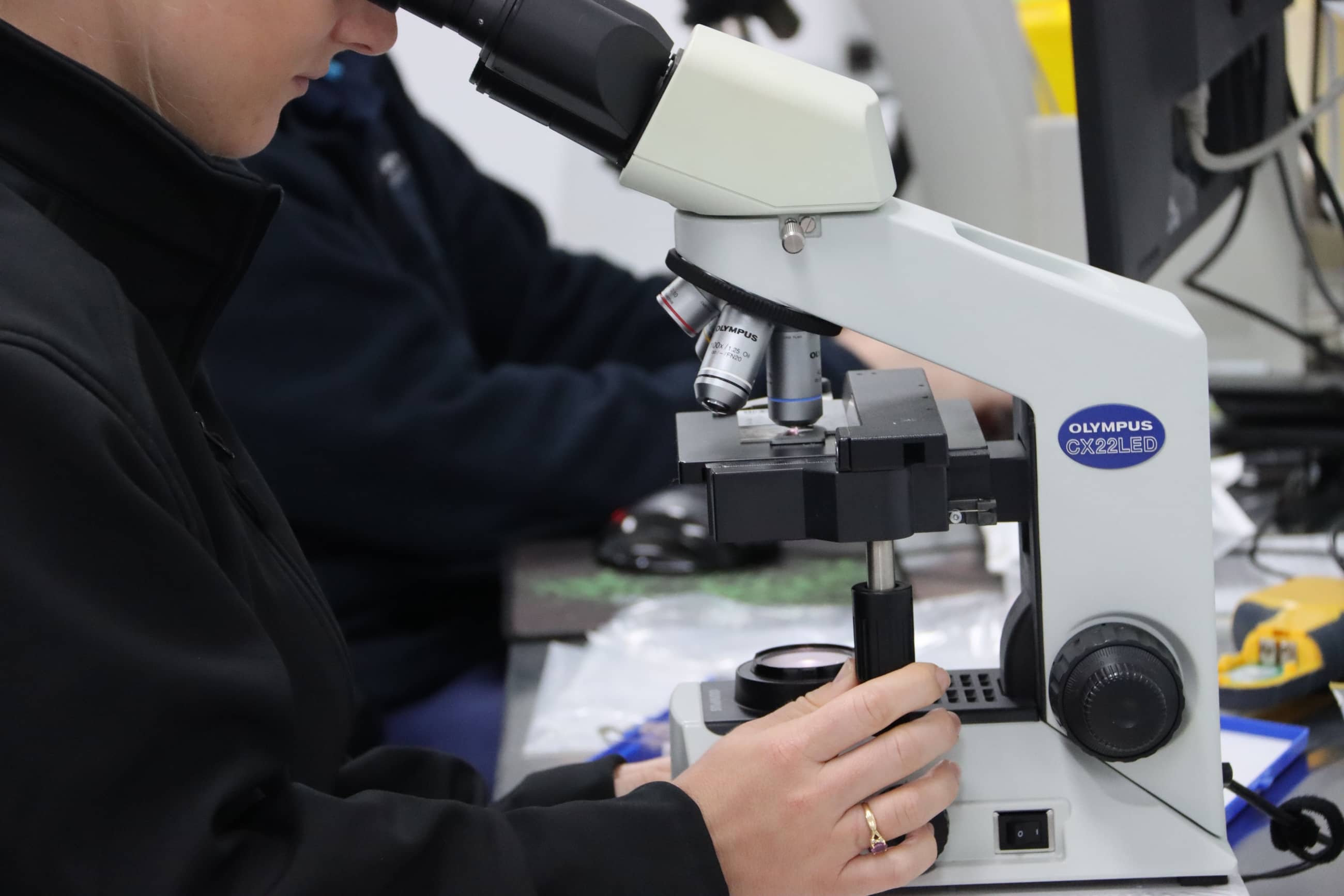 Mould Inspections | Industry-Leading Mould Lab