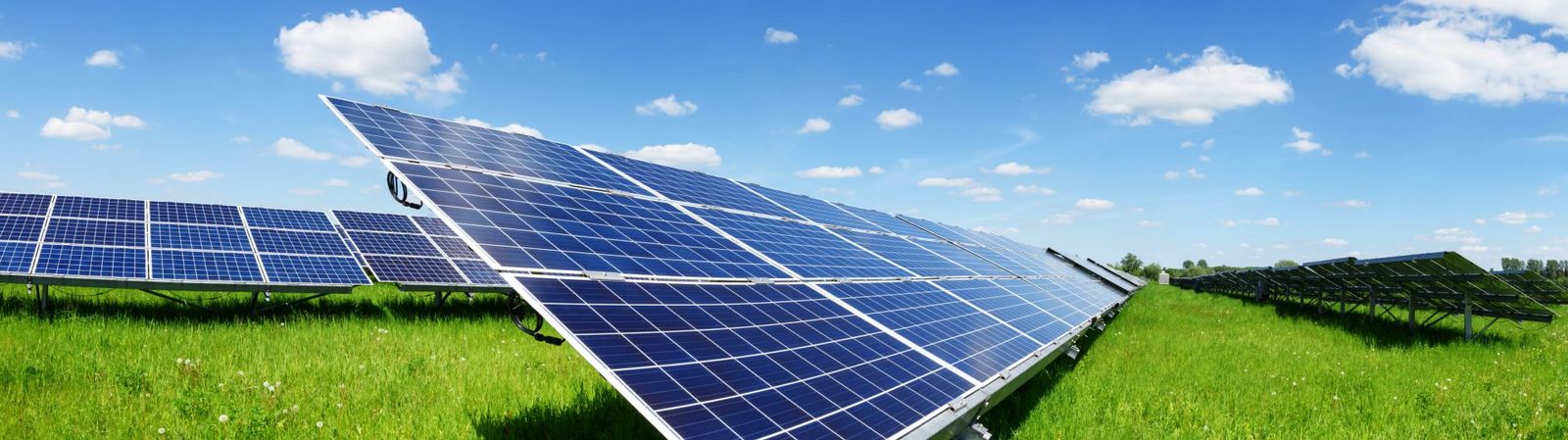 Ecorus is an awesome company that helps retailers transition to # ...