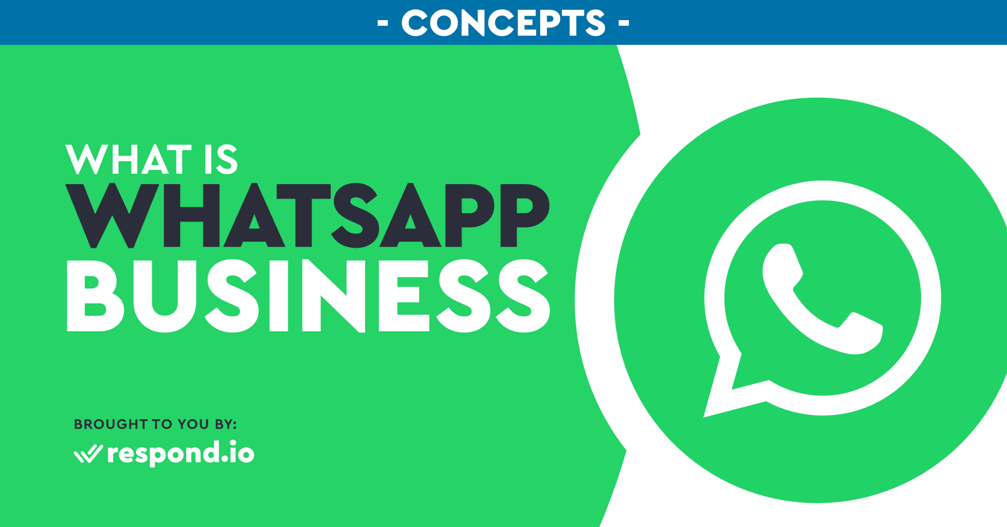 WhatsApp Business: Accounts & Features Overview [Jul 2021]